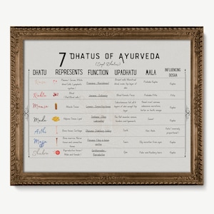 Ayurveda Sapt Dhatu Poster, Ayurveda 7 Dhatus Guides, Ayurveda Art ...