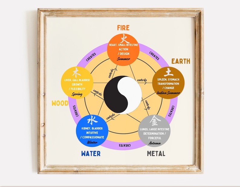 TCM Five Elements Poster: Acupuncture Chart (digital Download) - Etsy