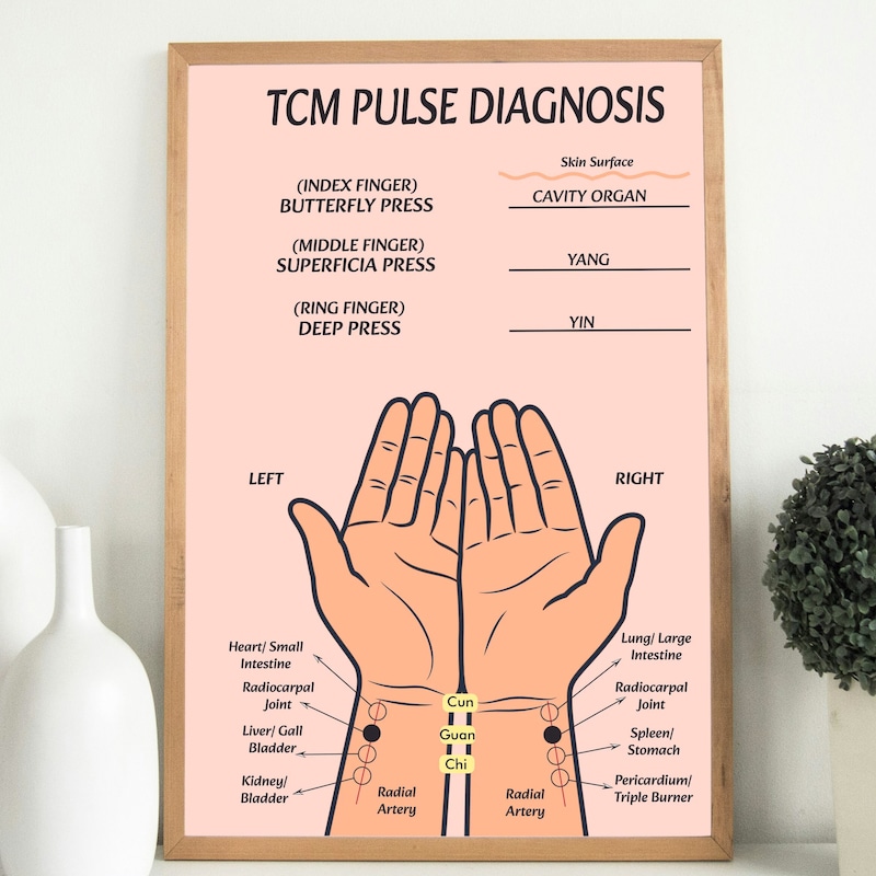 Chinese Medicine - Etsy