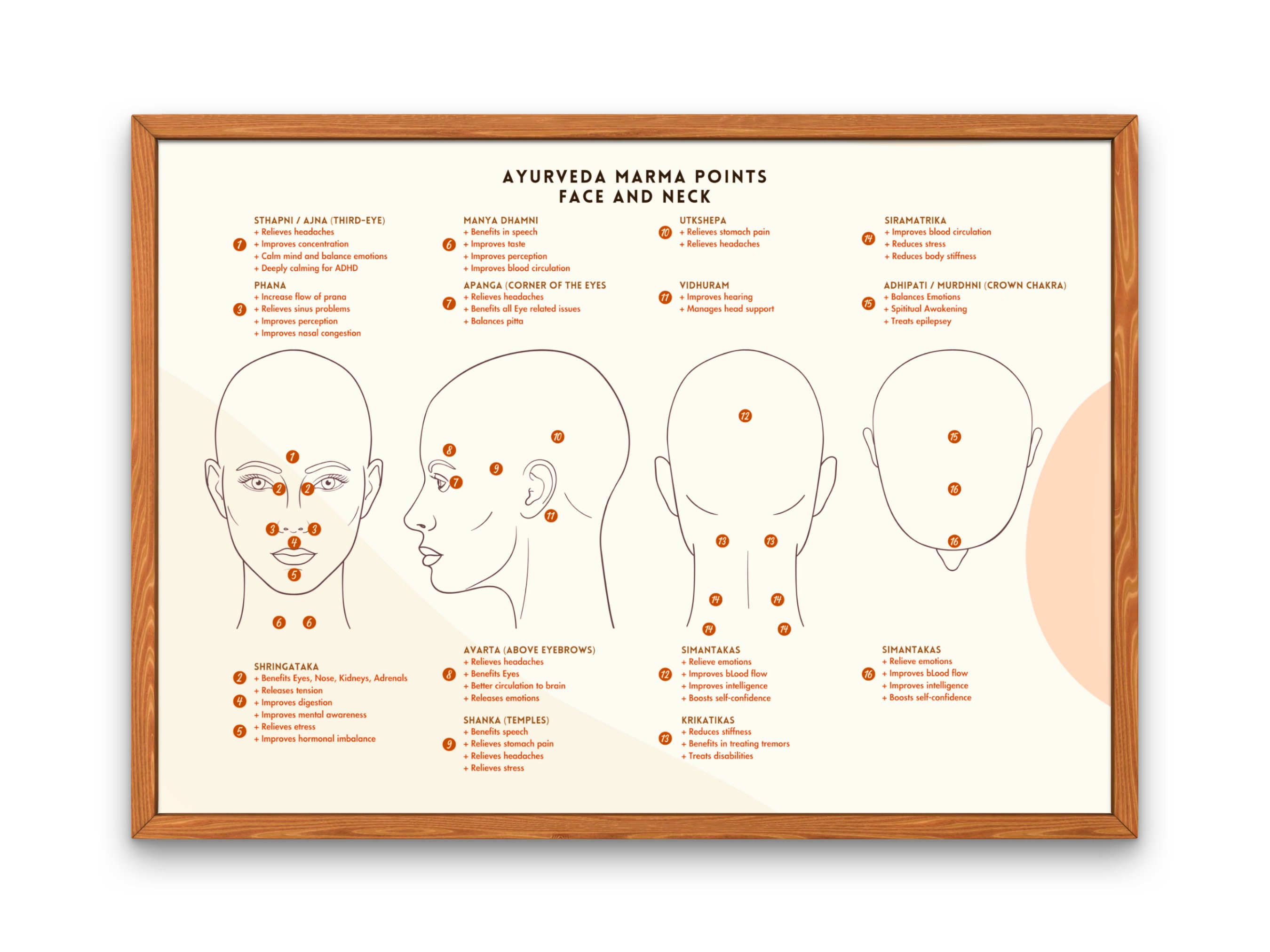 Ayurveda Marma Points Chart: Energy Points, Face & Neck (digital Art ...