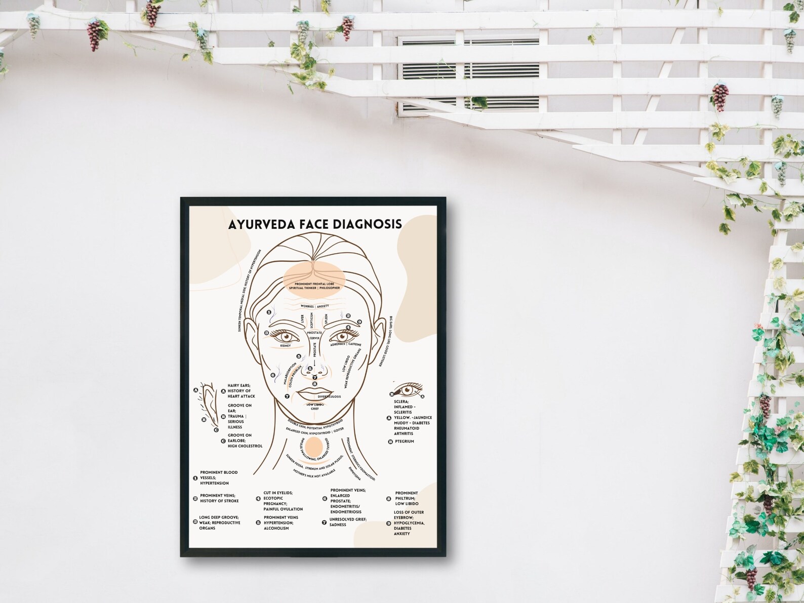 Ayurveda Face Diagnosis Poster | Museum Quality Matter Paper | 24x36 ...