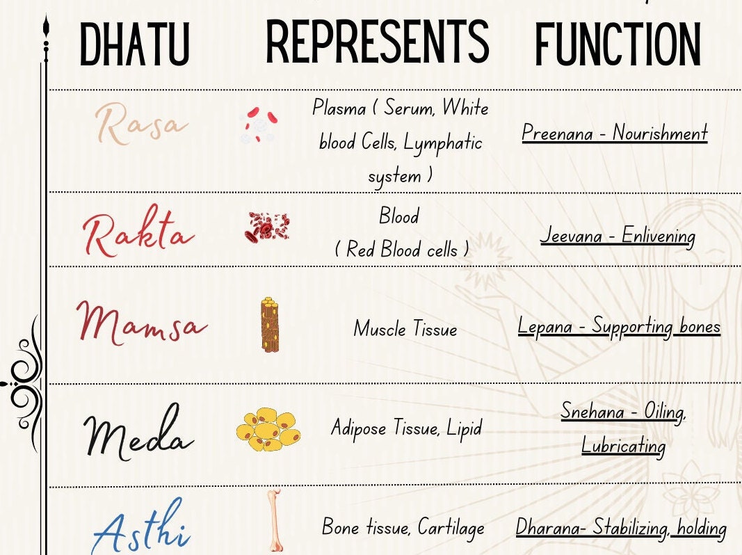 Ayurveda Sapt Dhatu Poster Ayurveda 7 Dhatus Guides Ayurveda - Etsy