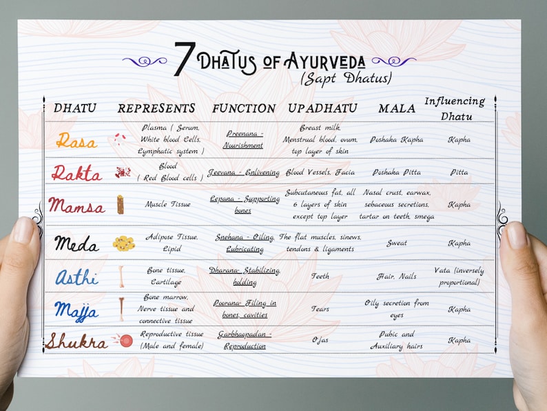 Ayurveda Sapt Dhatu Chart Poster: Holistic Health Guide (digital ...