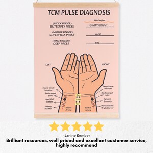 TCM Pulse Diagnosis Print, Pulse Chart Poster, Chinese Medicine Gift ...