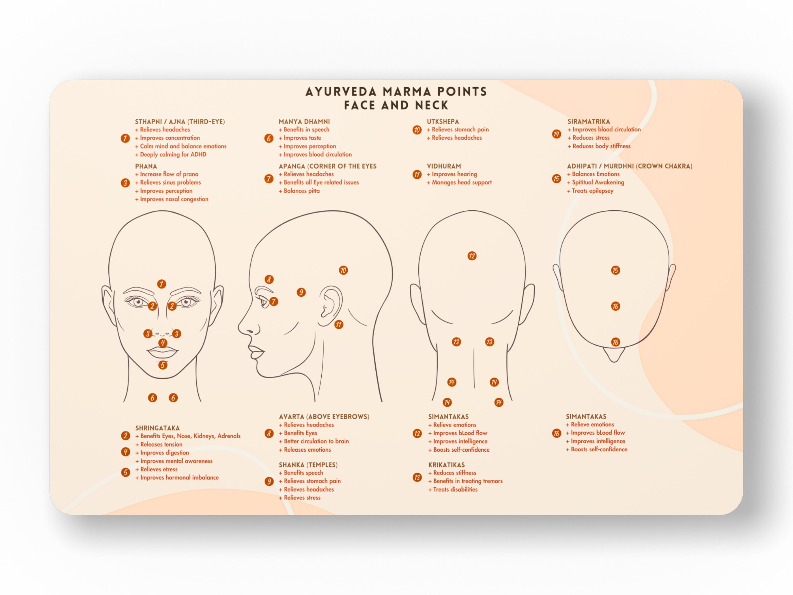 Ayurveda Marma Point Poster and Book Insert Ayurveda Energy - Etsy Australia