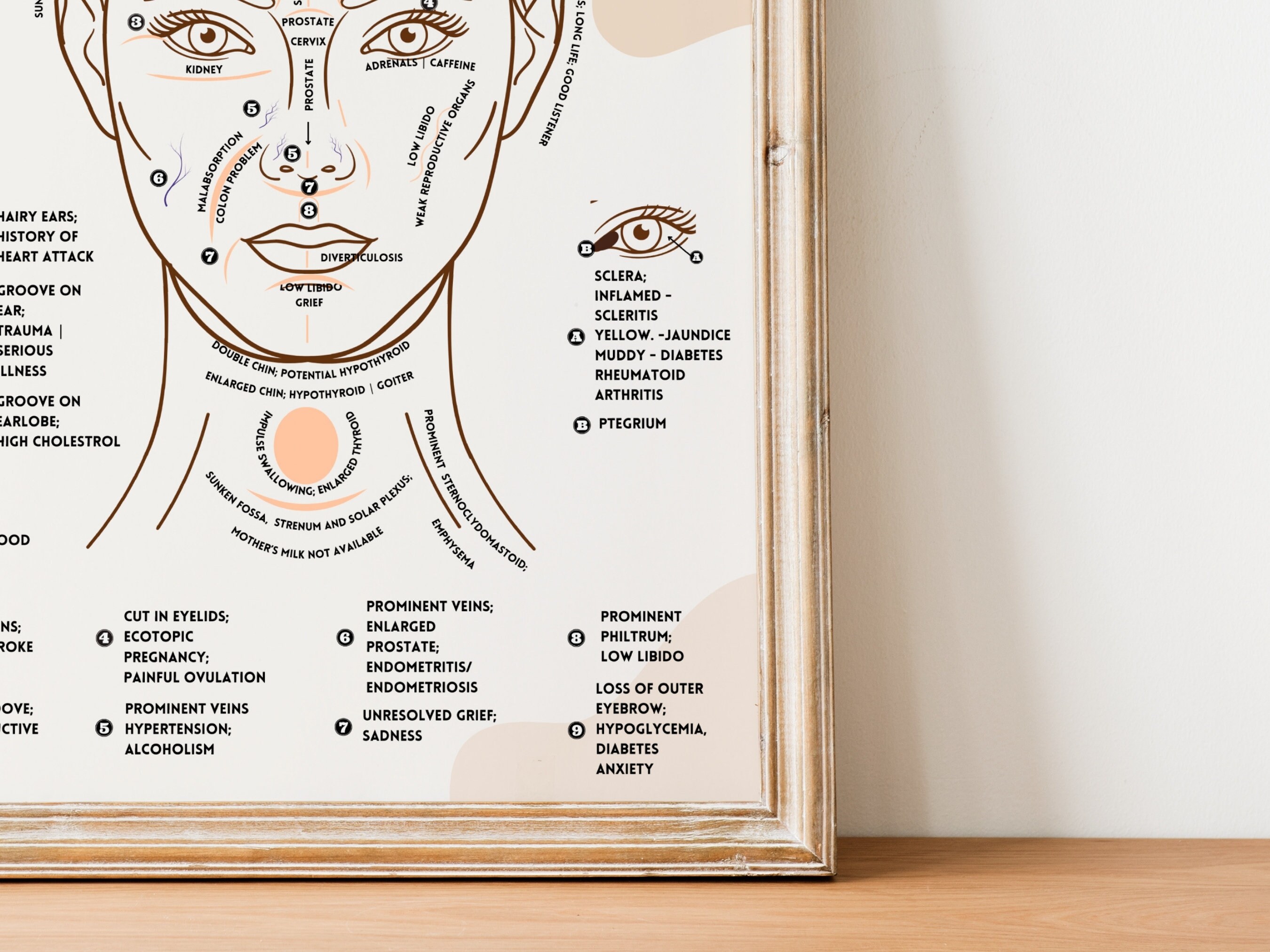 Ayurveda Face Diagnosis Poster | Museum Quality Matter Paper | 24x36 ...