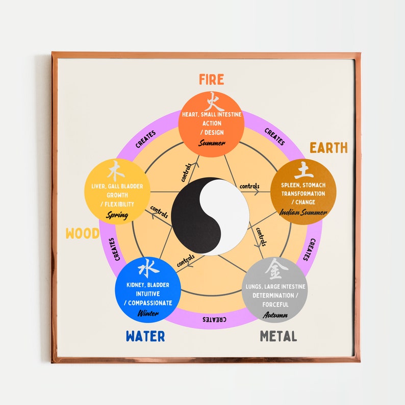 TCM Five Elements Poster: Acupuncture Chart (digital Download) - Etsy