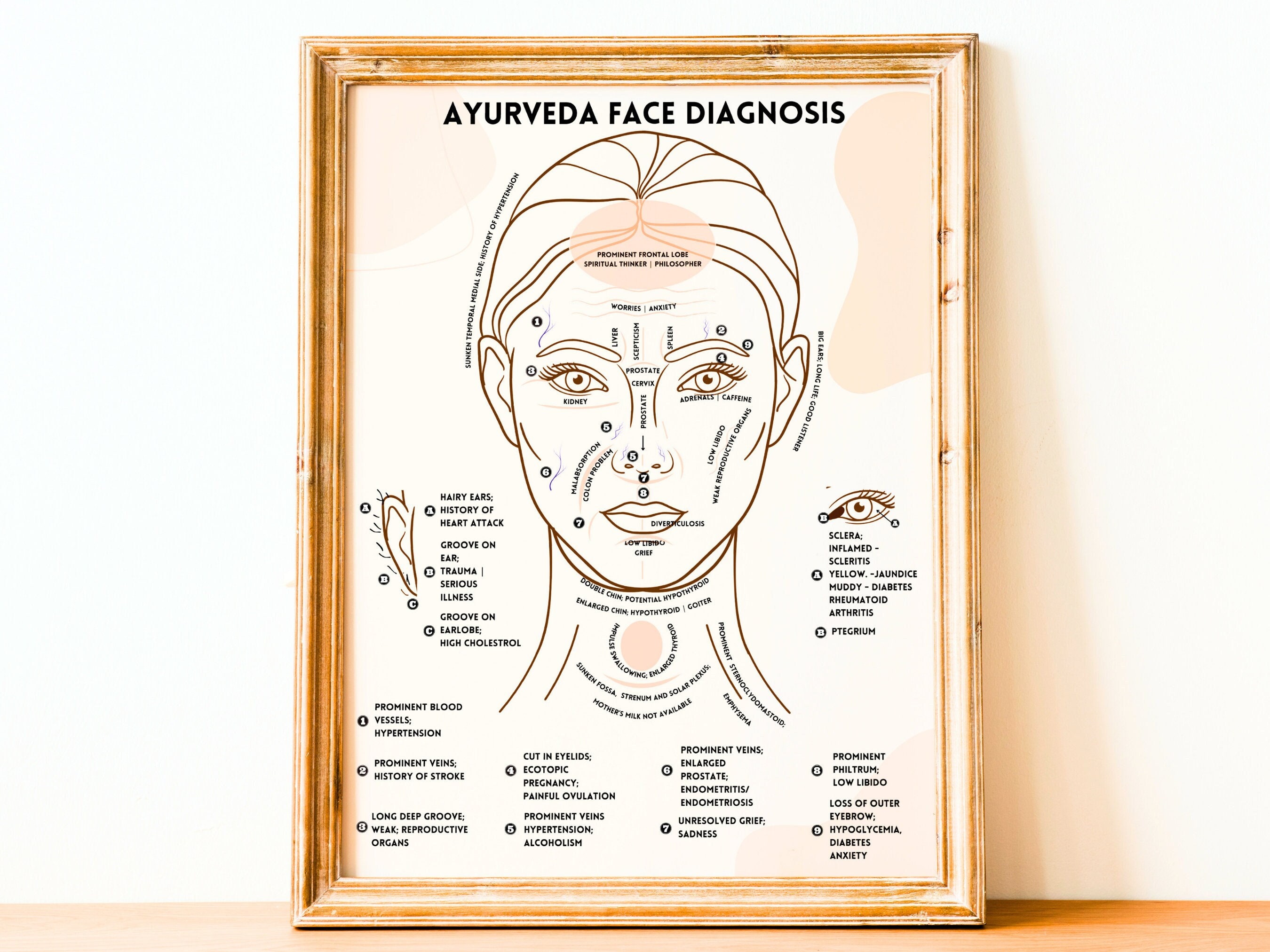 Ayurveda Face Diagnosis Poster and Book Insert, Colored Ayurveda Face Chart, Ayurveda Digital ...