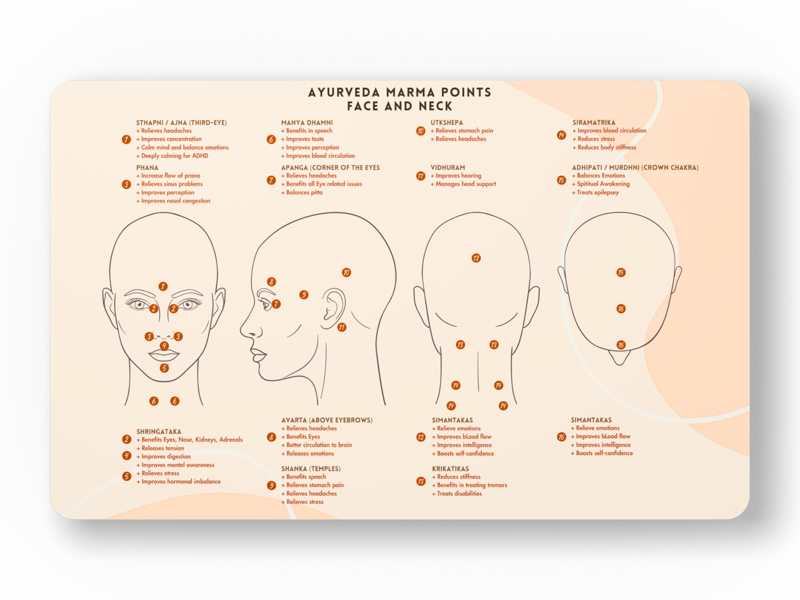 Ayurveda Marma Point Poster Museum Quality Matter Paper 17x11 Ayurveda ...