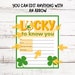 Editable St. Patricks Day Flyer Fundraiser Lucky Grams for School ...