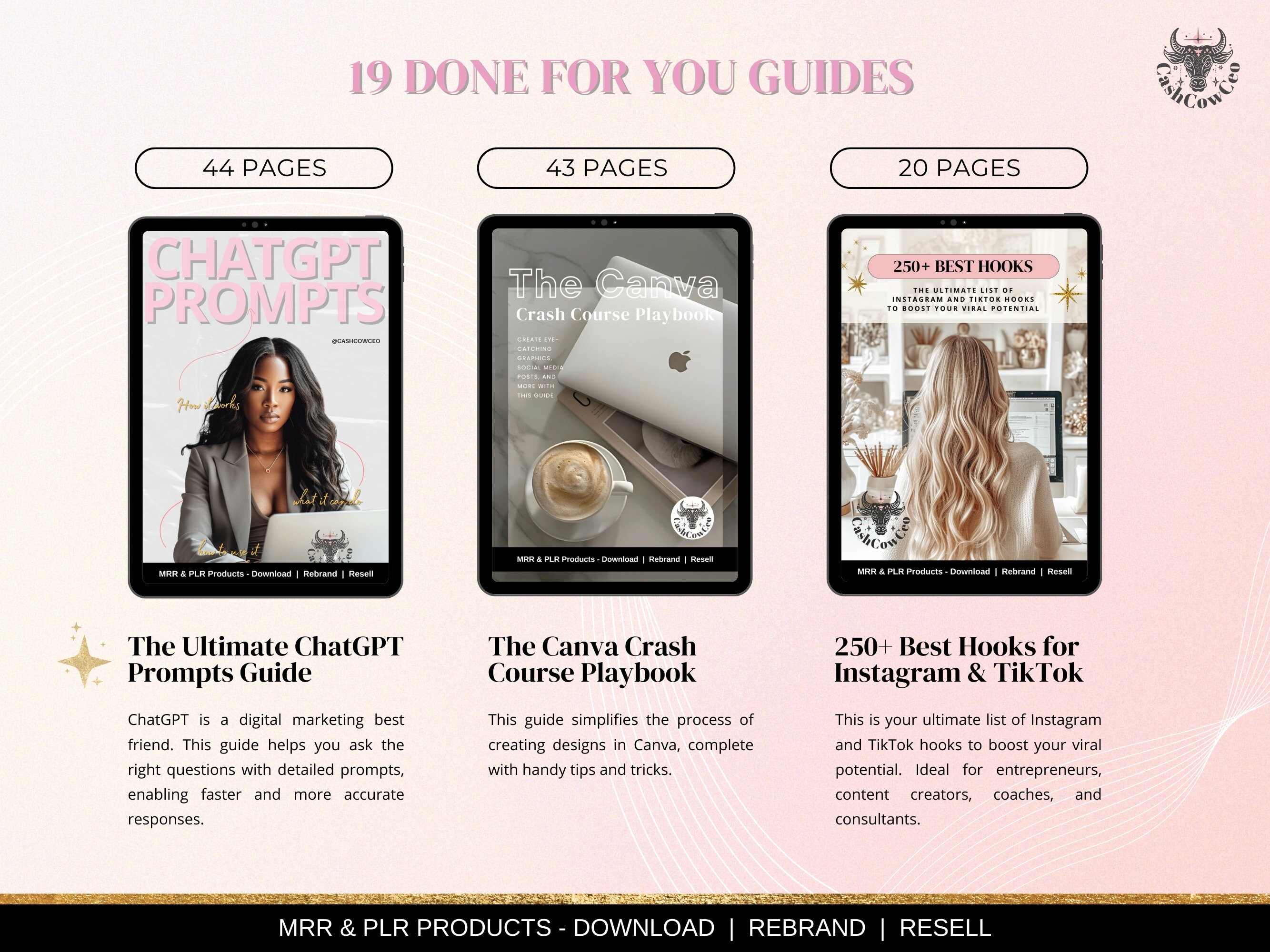 Ultimate Digital Marketing Guide Mrr Plr Digital Products Master Resell
