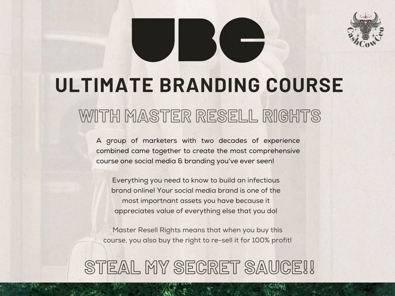 UBC Ultimate Branding Course W/ Master Resell Rights Digital Product ...
