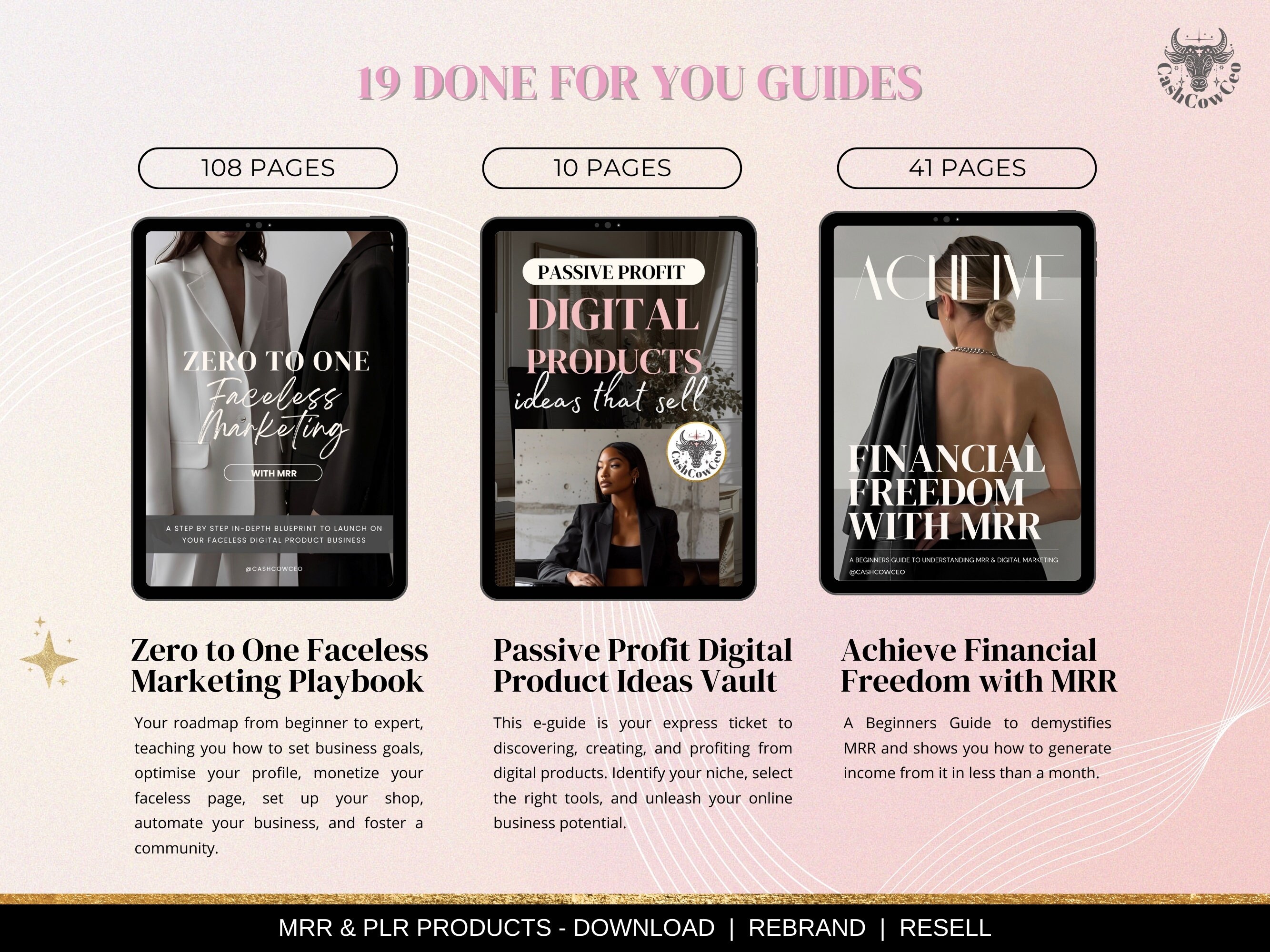Faceless Digital Marketing All-in-one Course Bundle MRR PLR Guides ...