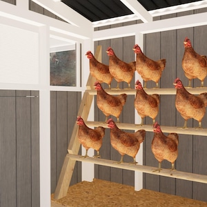 8x20 Walk-in Chicken Coop Plans: 20 Chickens, Shed Roof (PDF Download) - Etsy