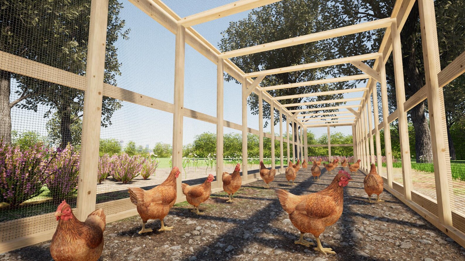 Large Chicken Run Plans 7x48 for 40 Chickens (PDF Download) - Etsy