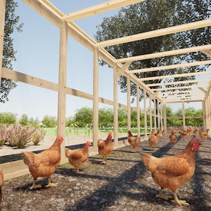 Large Chicken Run Plans 7x48 for 40 Chickens (PDF Download) - Etsy