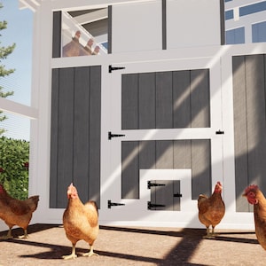 8x20 Walk-in Chicken Coop Plans: 20 Chickens, Shed Roof (PDF Download) - Etsy