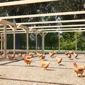 Large Chicken Run Plans 30x40: DIY Woodworking Blueprint (PDF Download ...