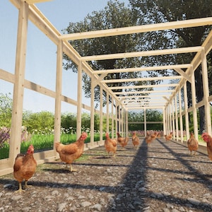 Large Chicken Run Plans 8x48: DIY Chicken Pen for 40-50 Chickens (PDF ...