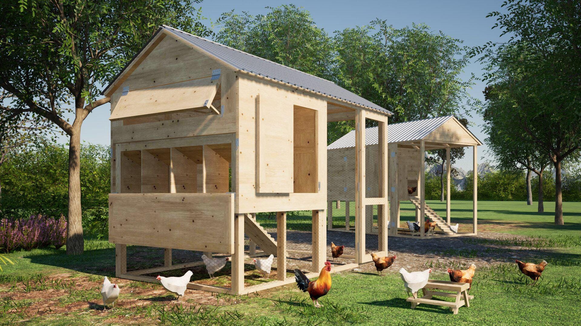 Planes Para Hacer Gallineros