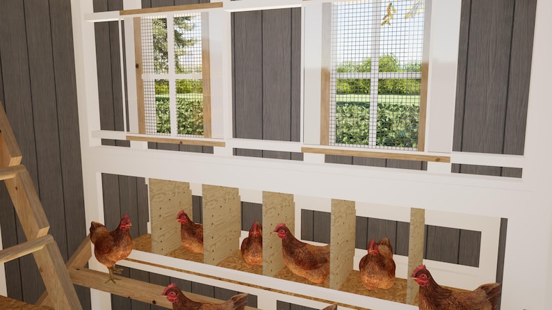 Walk-in Chicken Coop Plans: Large Shed-roof Coop for 20–24 Chickens ...