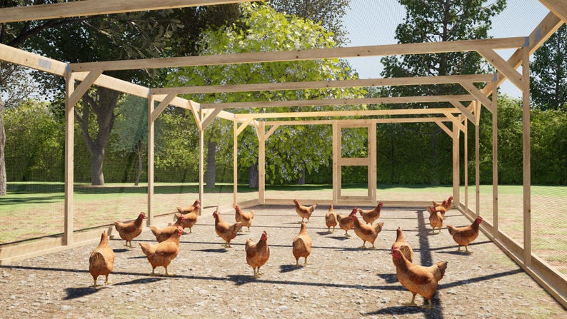 Large Chicken Run Plans 15x40 for 50-60 Chickens (digital Download PDF ...