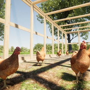 DIY Chicken Run Plans 7x24 for 20 Chickens (PDF Download) - Etsy