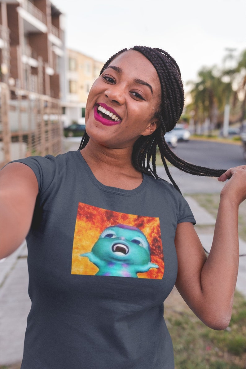 Bibble Meme T-shirt, Funny Unisex Heavy Cotton Meme Tee, Viral Meme ...