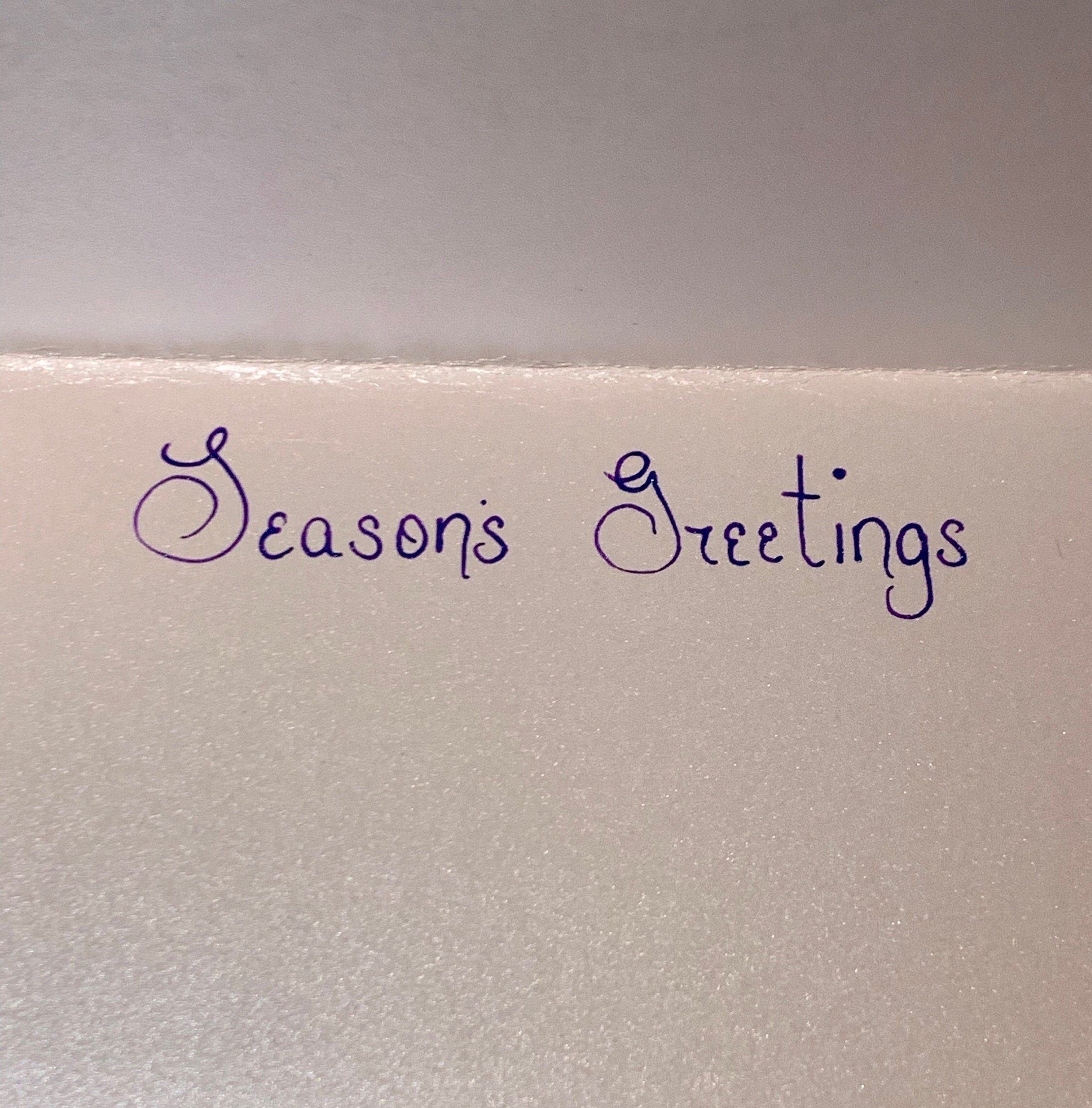 Mr. Ruffin the Puffin Out Delivering Presents as Sam the Snowman Waves ...