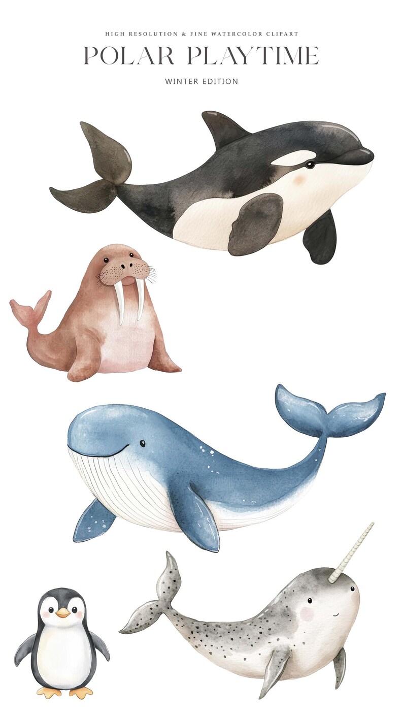 Cute Arctic Animals Clipart - Watercolor Clipart - Polar Wildlife ...