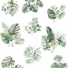 Watercolor Greenery Borders - Card Making Greenery - Cute Watercolor ...