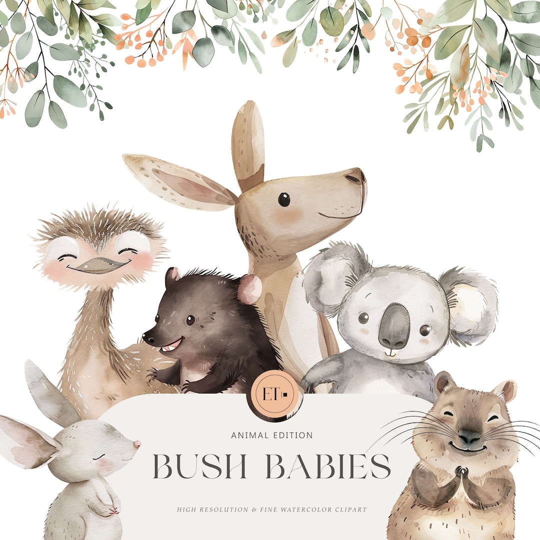 Cute Australian Animals Clipart - Watercolor Clipart - Koala Clipart ...