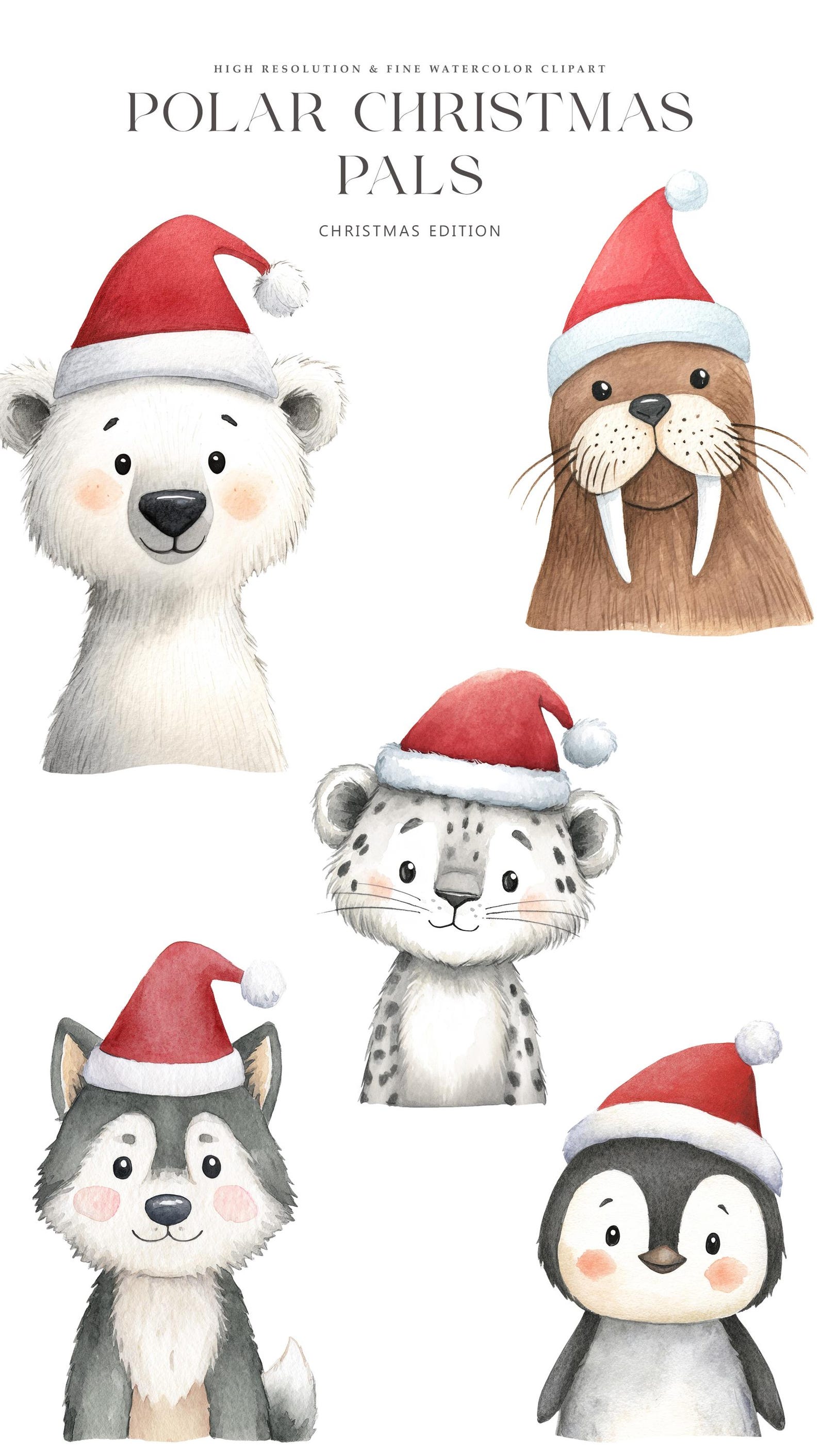 Polar Animals With Santa Hats - Watercolor Clipart - Festive Arctic ...