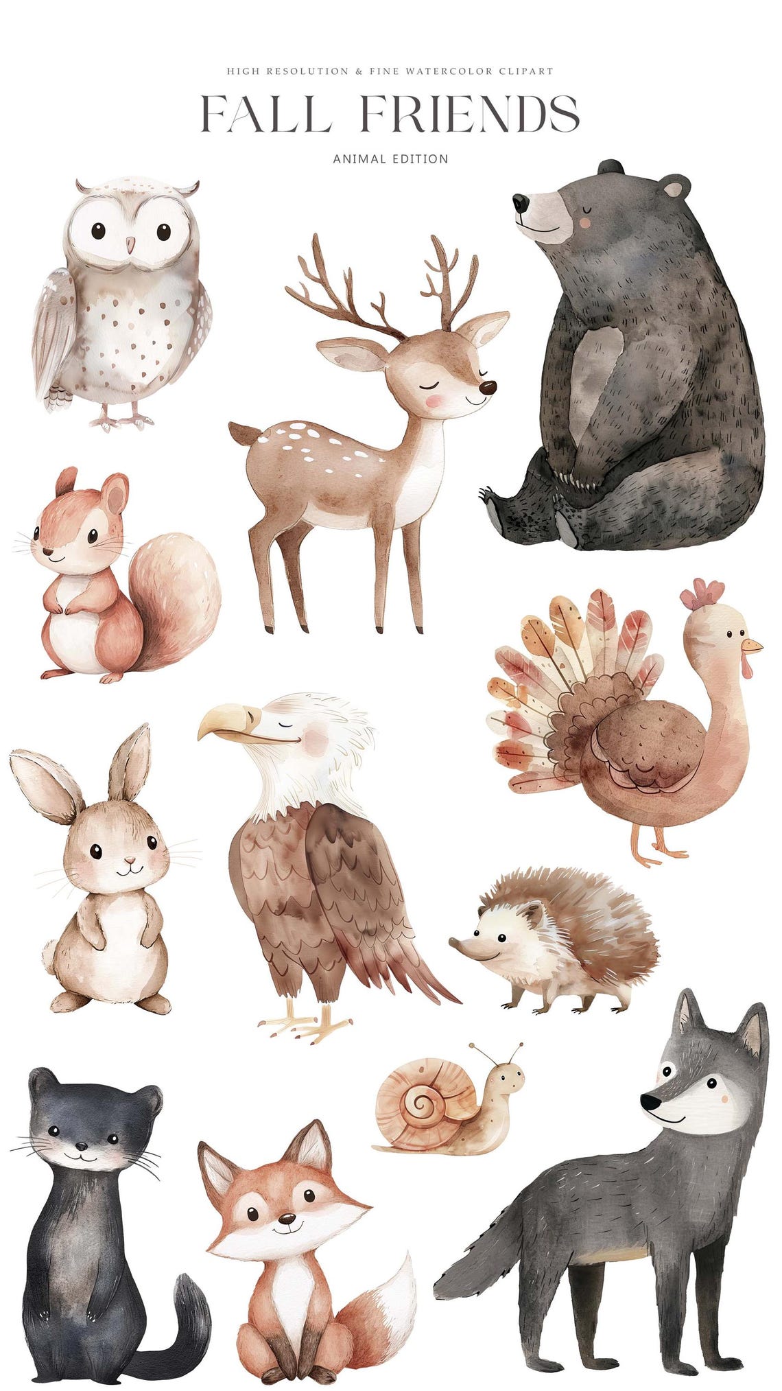 Fall Animals Clipart - Cute Woodland Animals - Autumn Animals - Little ...