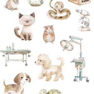 Charming Pet Clinic Clipart - Cat and Dog Illustrations - Watercolor ...