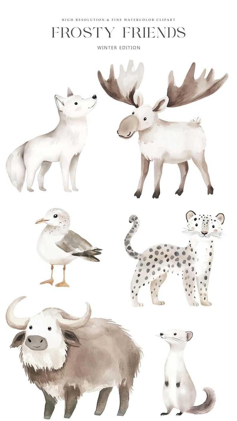 Cute Arctic Animals Clipart - Watercolor Clipart - Winter Animals ...