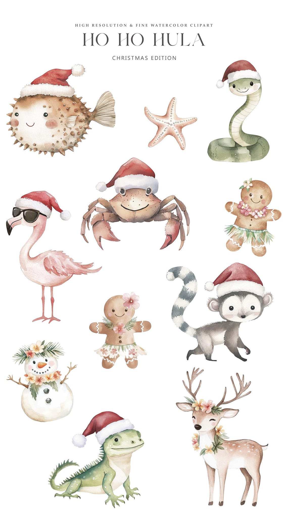 Cute Tropical Christmas Clipart - Cute Santa - Tropical Holiday ...