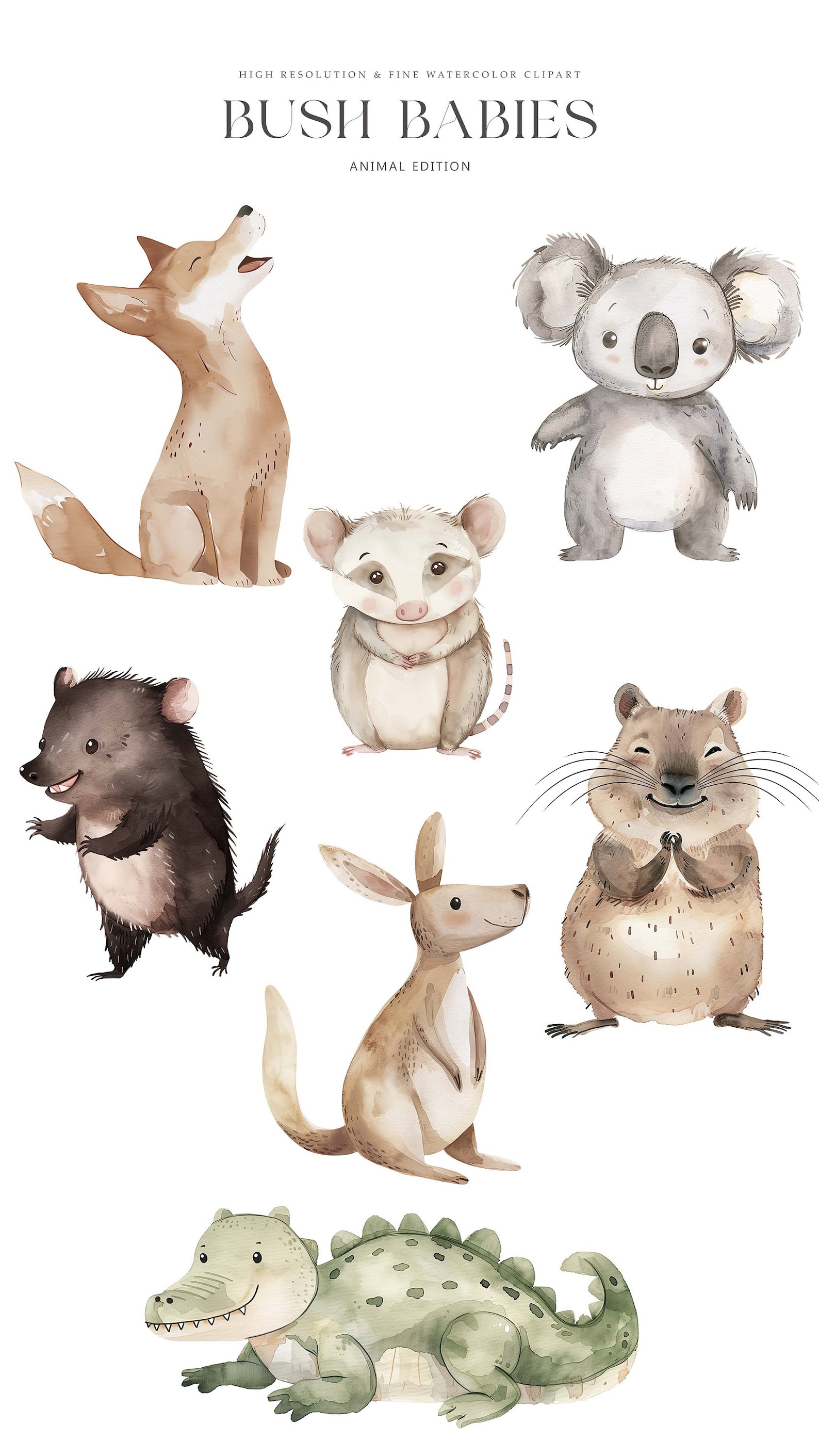 Cute Australian Animals Clipart - Watercolor Clipart - Koala Clipart ...