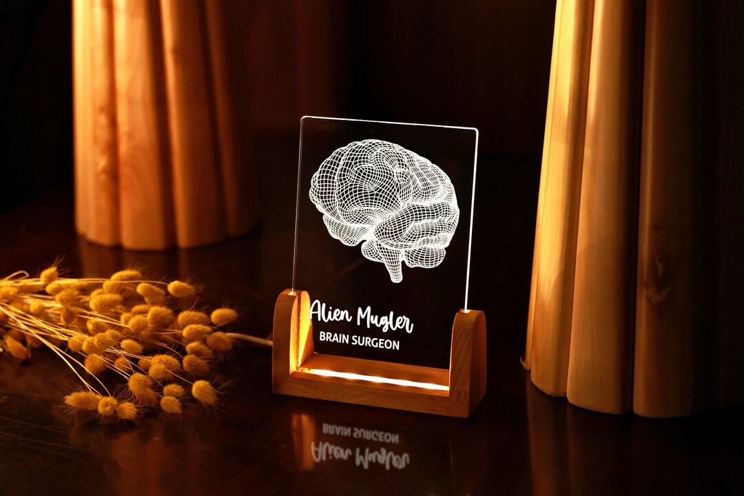 Psychology Student Graduation Gift - Anatomical Brain Lamp - Perfect Gift for Student - Brain ...