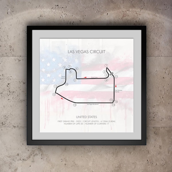 United States Grand Prix Poster - Etsy