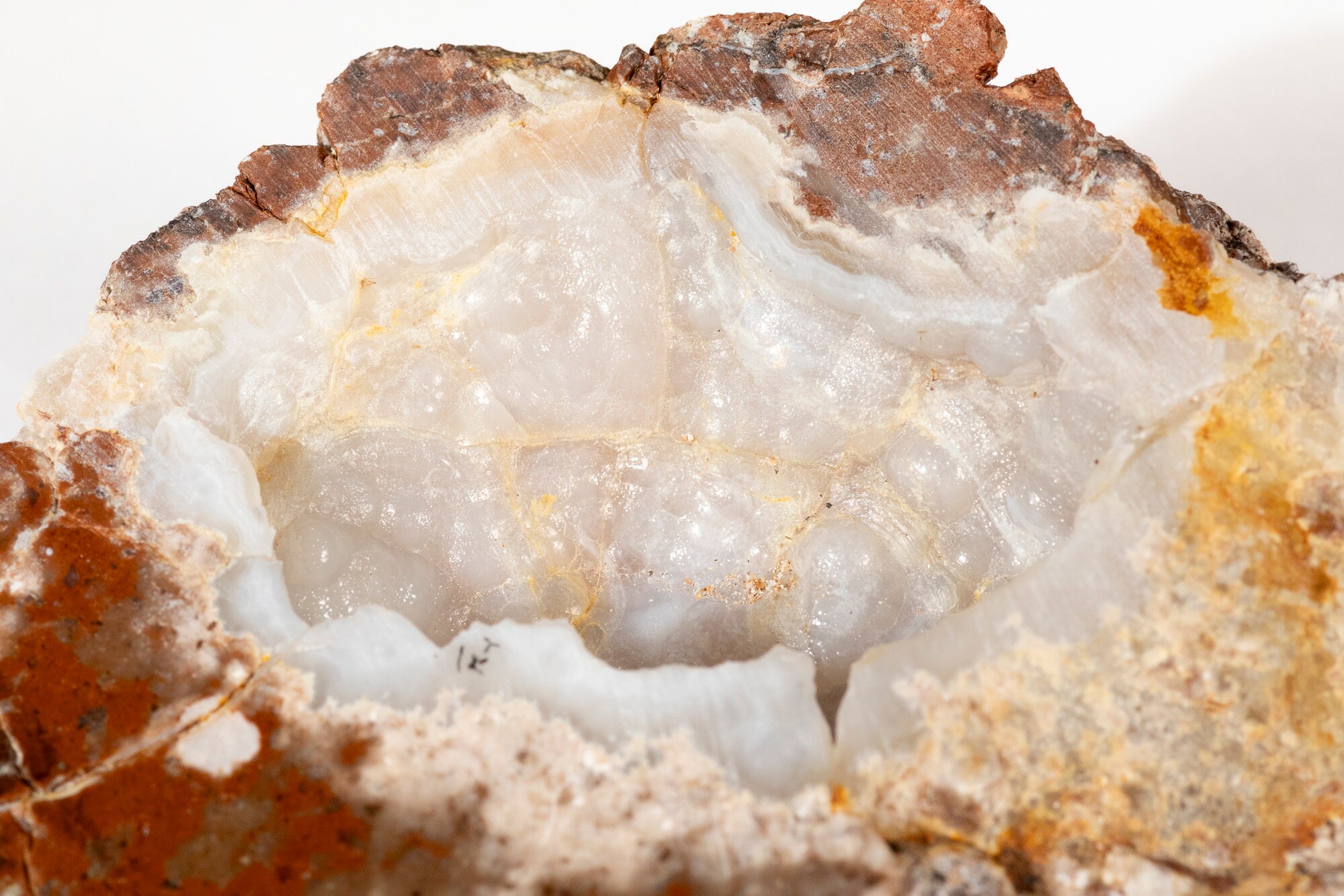 Exquisite Halved House Log Creek Colorado Geode: Revealing Druzy Quartz ...