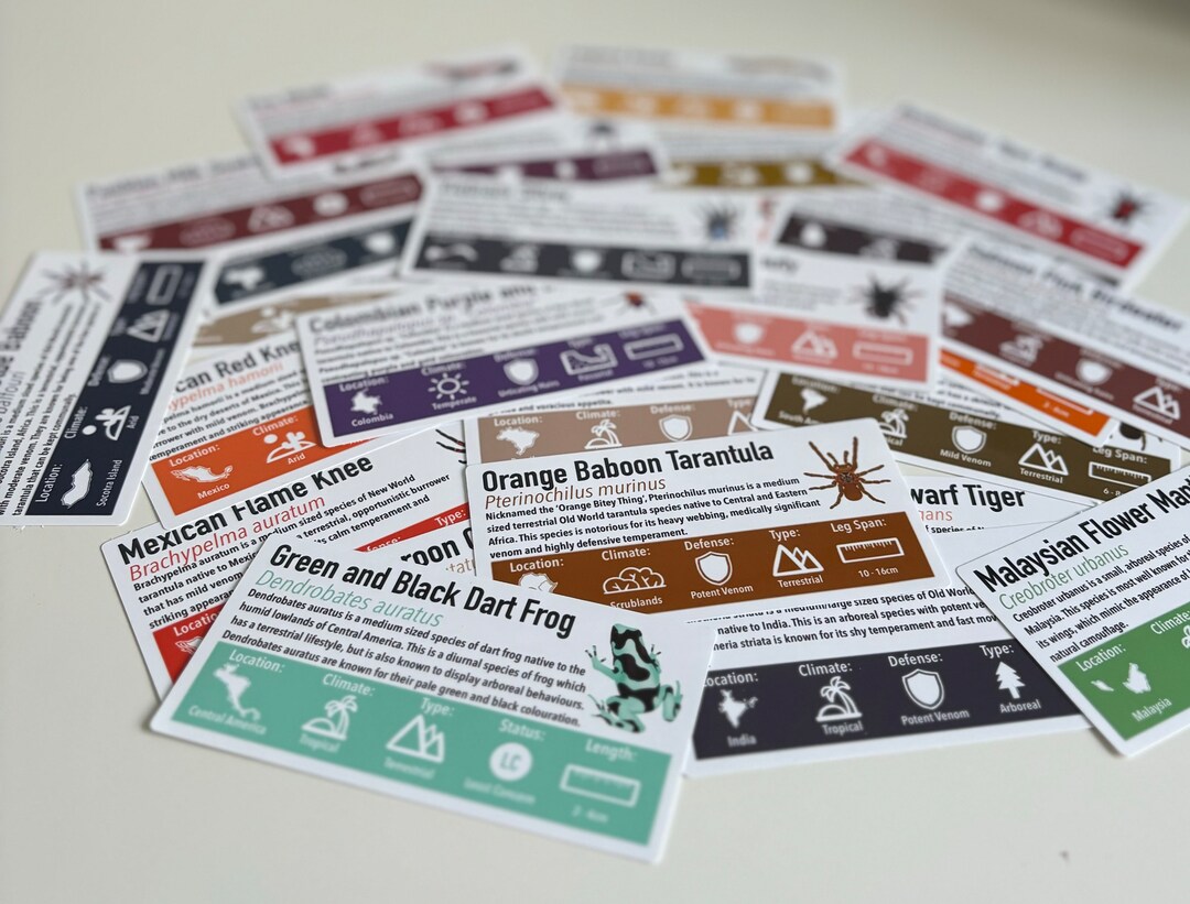 MEDIUM Custom Invertebrate/reptile Enclosure Labels ANY Species, ANY ...