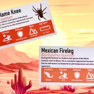 LARGE Custom Invert/reptile Enclosure Labels ANY Species, ANY Common ...