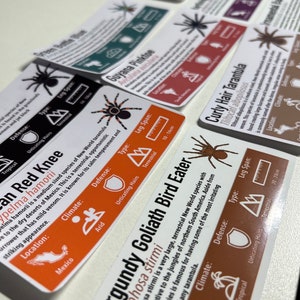 LARGE Custom Invert/reptile Enclosure Labels ANY Species, ANY Common ...