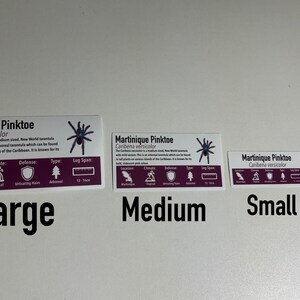 SMALL Custom Invert/reptile Enclosure Labels ANY Species, ANY Common ...