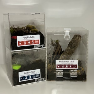 SMALL Custom Invert/reptile Enclosure Labels ANY Species, ANY Common ...