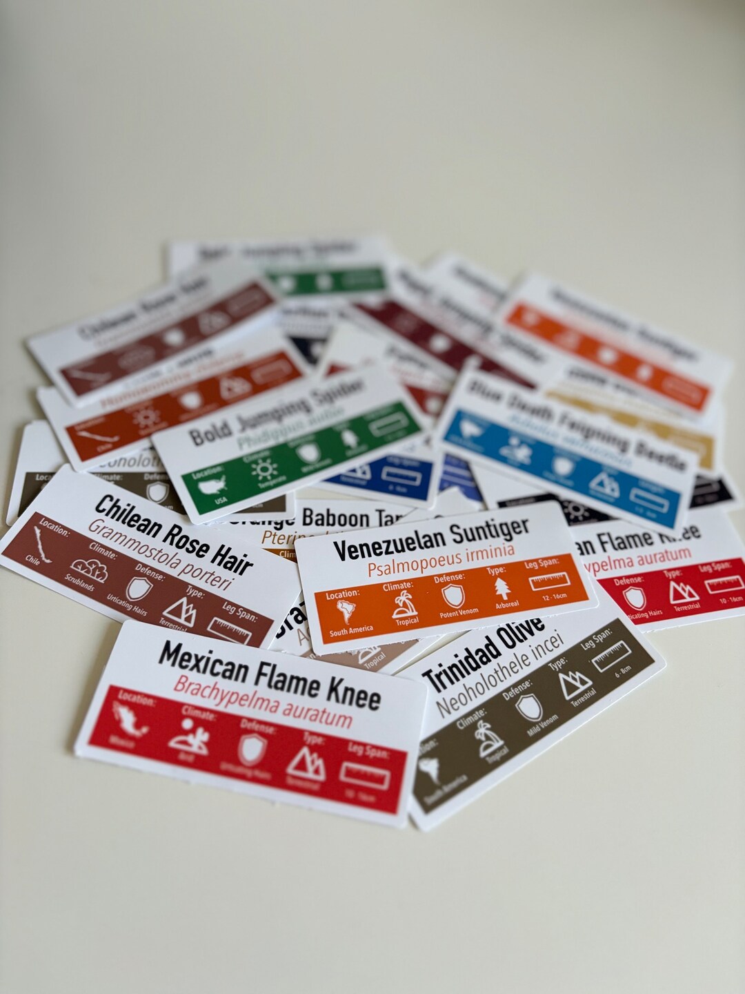 SMALL Custom Invert/reptile Enclosure Labels - ANY Species, ANY Common ...