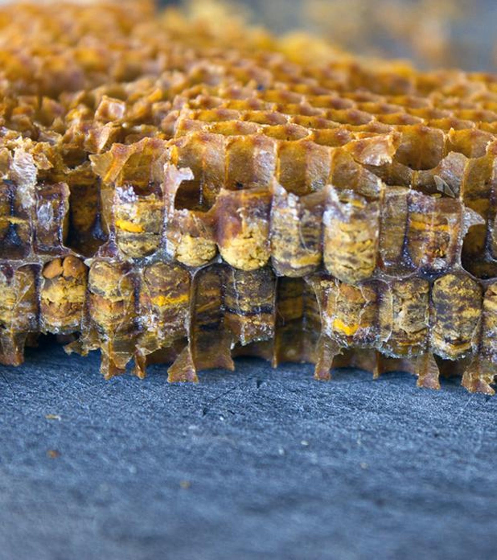 100% Natural Fresh Bee Bread – 100g Fermented Pollen, Turkish Pollen ...