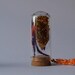 Real Honeycomb and Preserved Bees in Glass Dome | Handmade Natural Bee ...