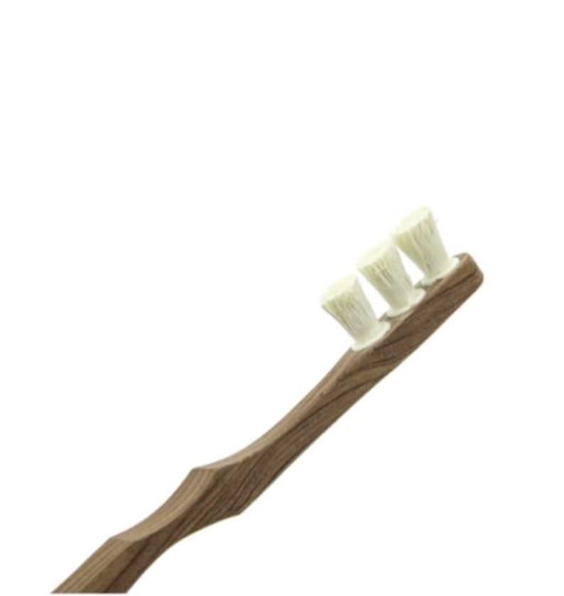 Miswak Toothbrush. Completely Natural 1 Piece, Toothbrush is Natural ...